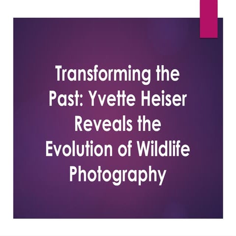 Transforming the Past: Yvette Heiser Reveals the Evolution of Wildlife ...