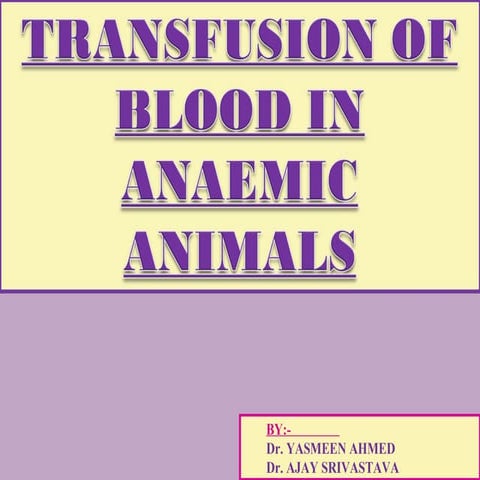 Blood transfusion in animals | PPTX
