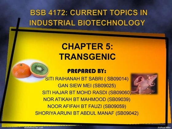 Bioethics of transgenic animals | PPT