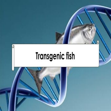transgenic-fish (1).pdf uses and application | PDF