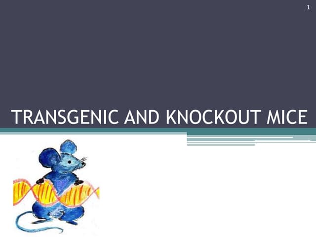 Knockout mice | PPTX