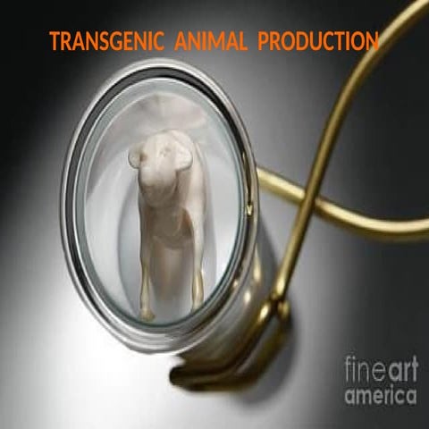 Transgenic animal production and their uses.pptx
