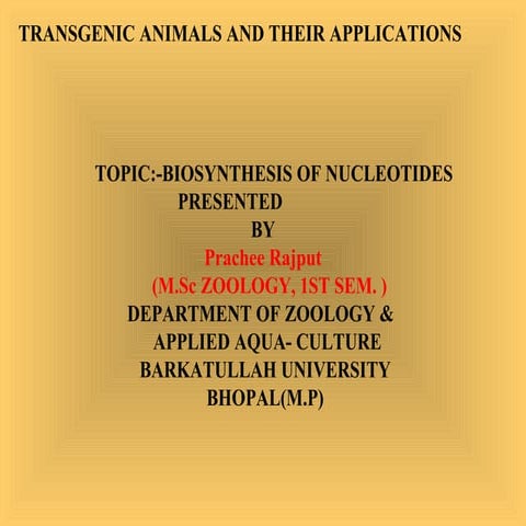 Transgenic animals | PPT