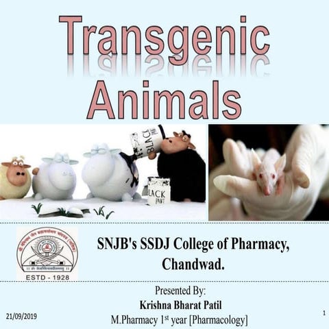 Transgenic animals | PPT