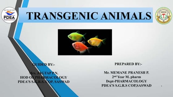 GENE EXPRESSION AND REGULATION.pptx