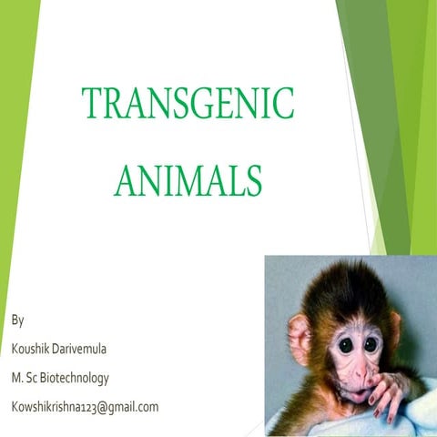 Transgenic animals.pptx