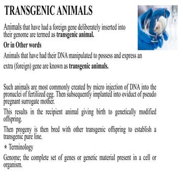 transgenic animals slides for UG level.pptx