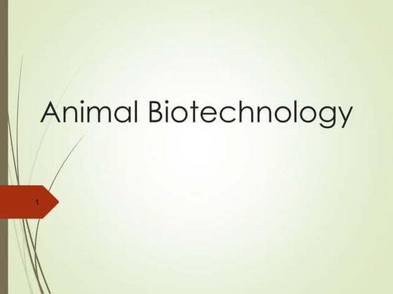 Microinjection Gene Transfer Method Pptx