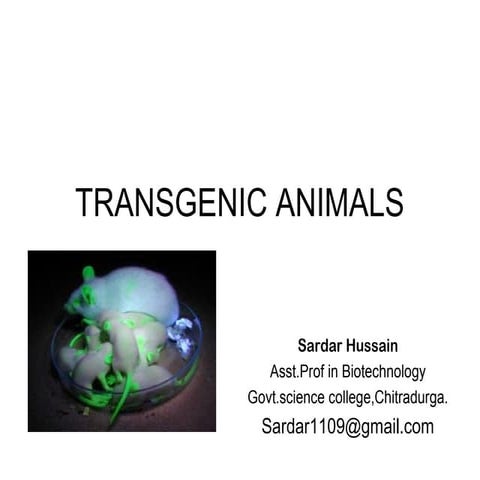 Transgenic animals | PPT