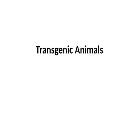 Transgenic animals and their different methods of production | PPTX