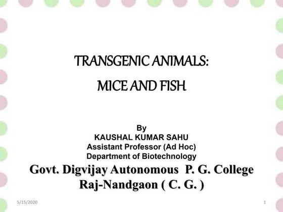 Trnasgenic fish | PPT