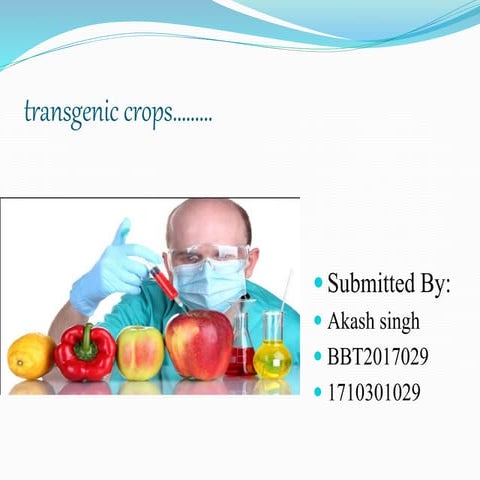 Transgenic crops | PPTX