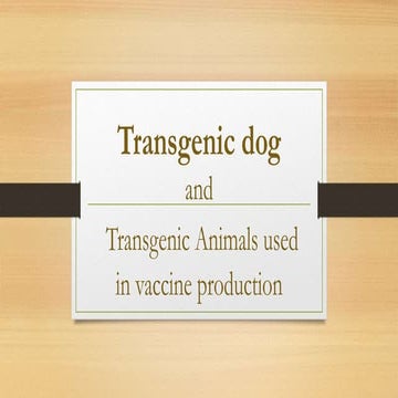 Transgenic dog | PPT