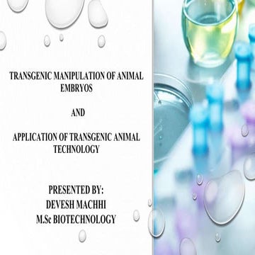 TRANSGENIC ANIMALS AND ITS APPLICATION | PPTX