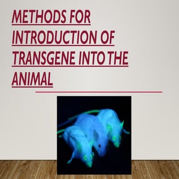 Transgenic methods to incorporate transgene into the animal ppt..pptx