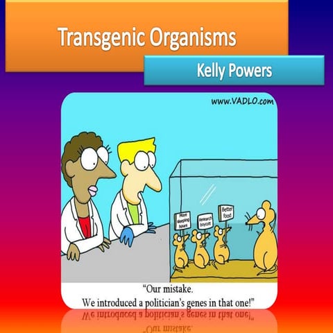 Transgenic organisms | PPTX
