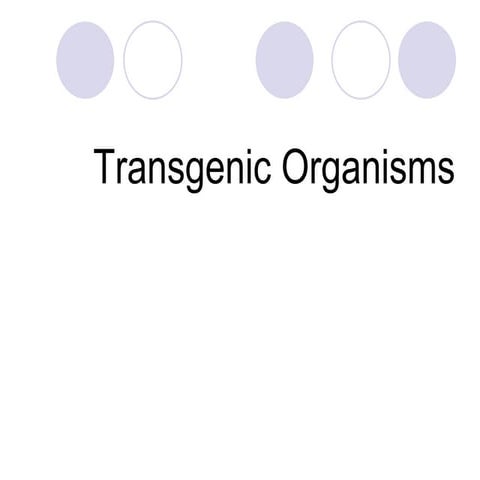Transgenic organisms and Therapy.for helping publit | PPTX