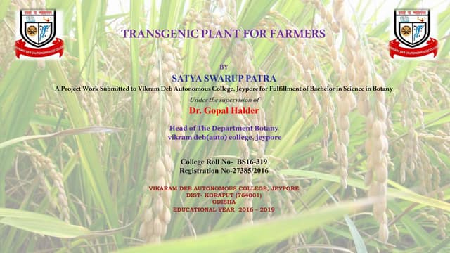 Transgenic plants , biotransformation and transgenesis | PDF