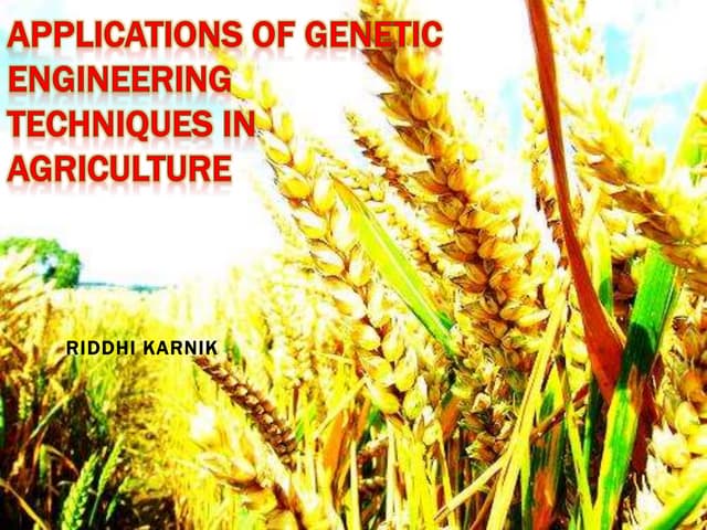 TRANSGENIC CROPS | PPTX