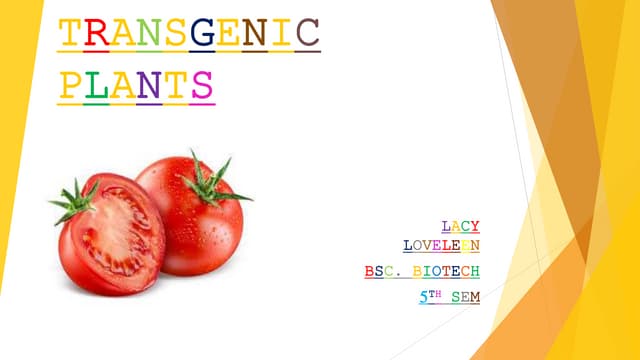 Transgenic plants , biotransformation and transgenesis | PDF