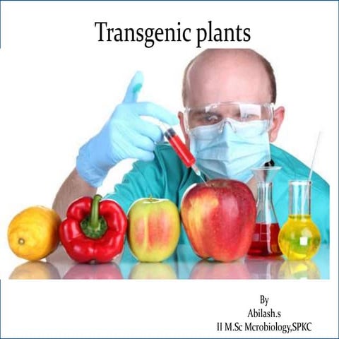 Transgenic plants | PPT
