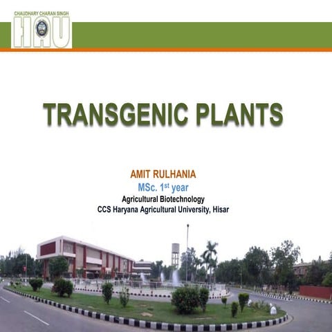 Transgenic plants.pptx