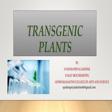TRANSGENIC PLANTS OR GENETICALLY MODIFIED PLANTS .pptx