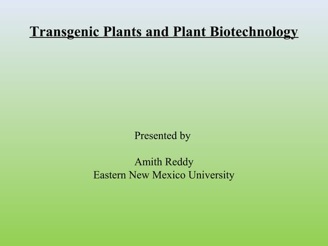 Transgenic plants | PPTX