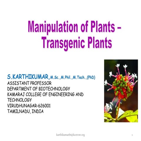 Transgenic plants new | PPT | Biotech and Biomedical Industry | Industries