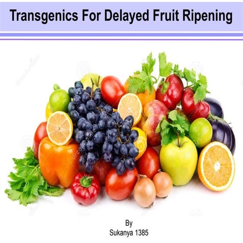 Transgenics for delayed fruit ripening | PPT