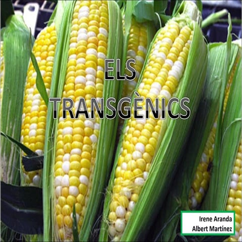 Transgènics | PPT