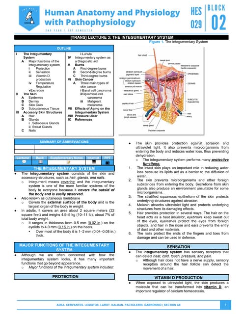 Science 6_Q2_L2_Parts and Functions of the Integumentary System.pptx ...