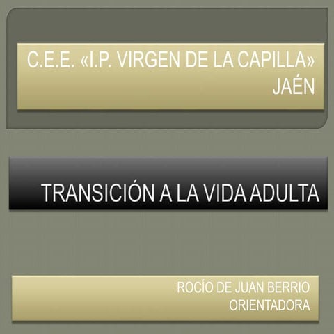 Transición a la vida adulta | PPSX