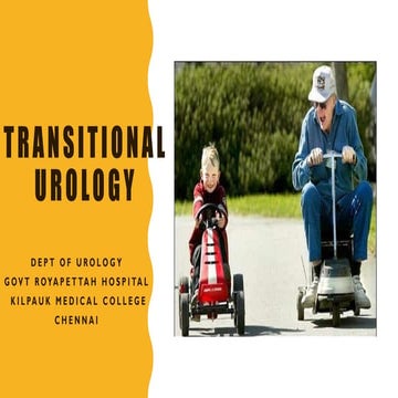 Transitional Urology 1 Pdf