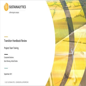 Transition Finance Handbook Review - Projects Team.pptx | Stocks and ...