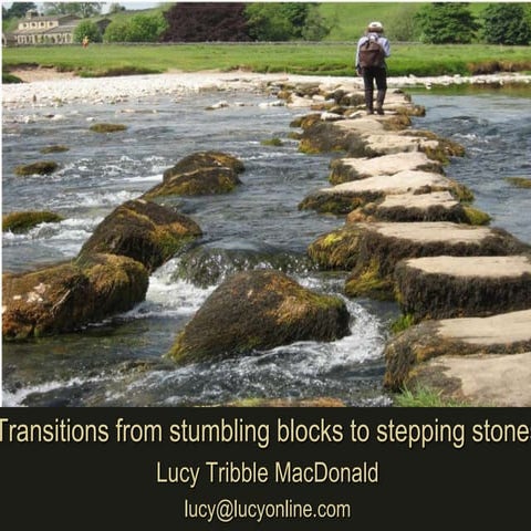 Transitions:from stumblings blocks to stepping stones | PPT