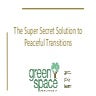 The Super Secret Solution to Peaceful Transitions | PPT
