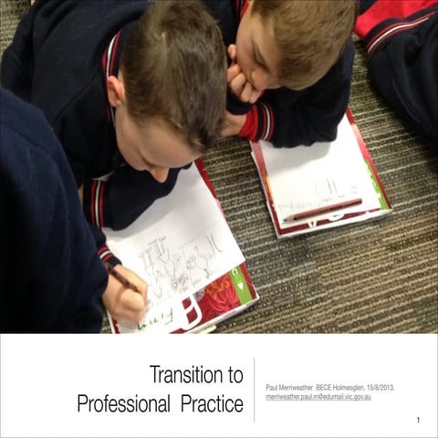 Transition to professional practice | PDF