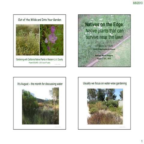 Water Transition zones 2013-notes | PPT