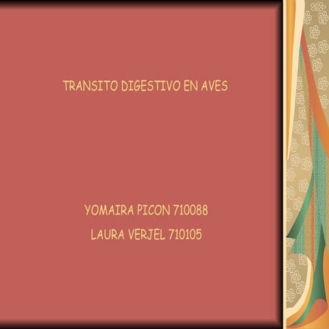 Transito Intestinal | PPT