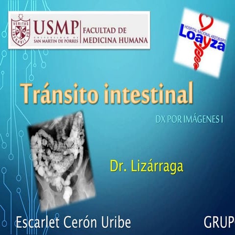 Transito intestinal | PPTX