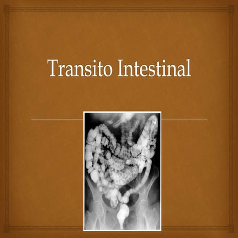 Transito intestinal | PPT