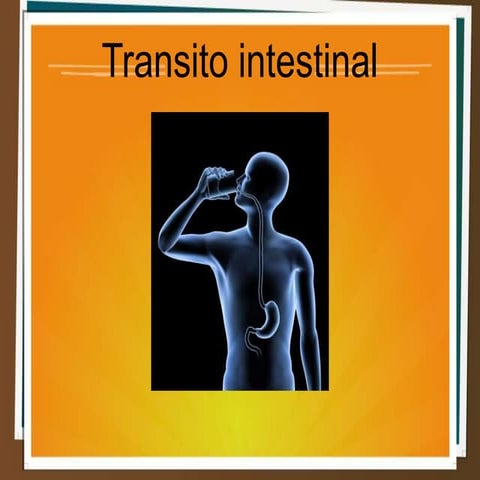 Transito intestinal | PPTX