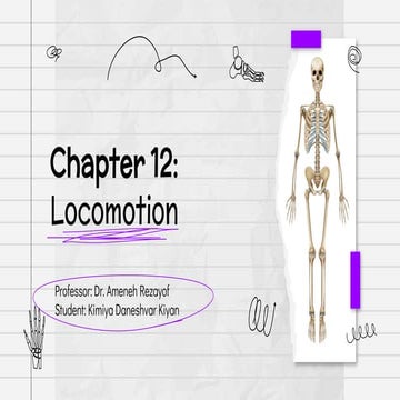 Translating contraction into movement | PDF