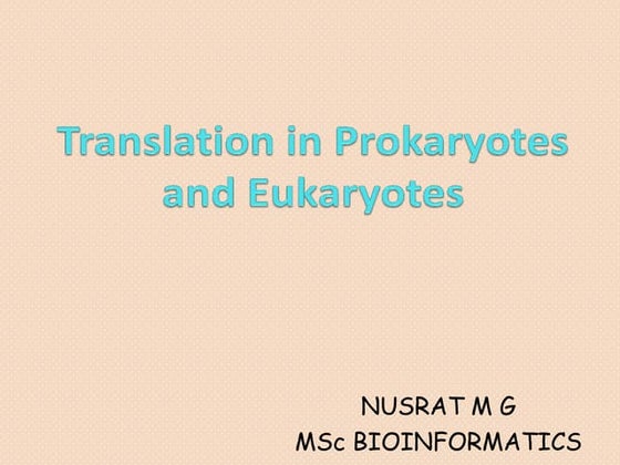 Translation in Eukaryotes. | PPTX