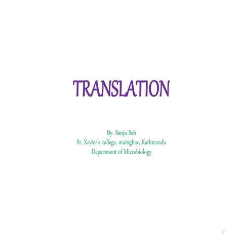 Translation | PPT