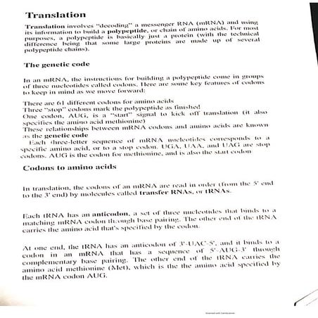 Translation | PDF | Programming Languages | Computing