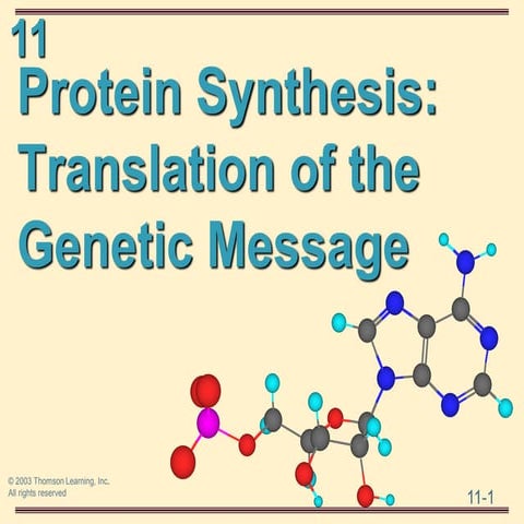 TRANSLATION AND PROTEIN SYNTHESIS.pdf
