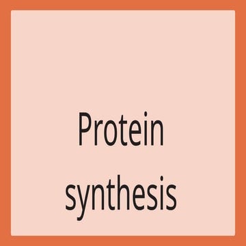 Translation and Transcription.ppt.......x | PPTX