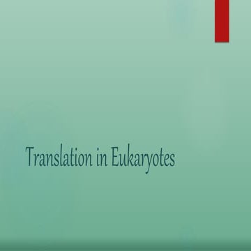 Translation in Eukaryotes. | PPTX